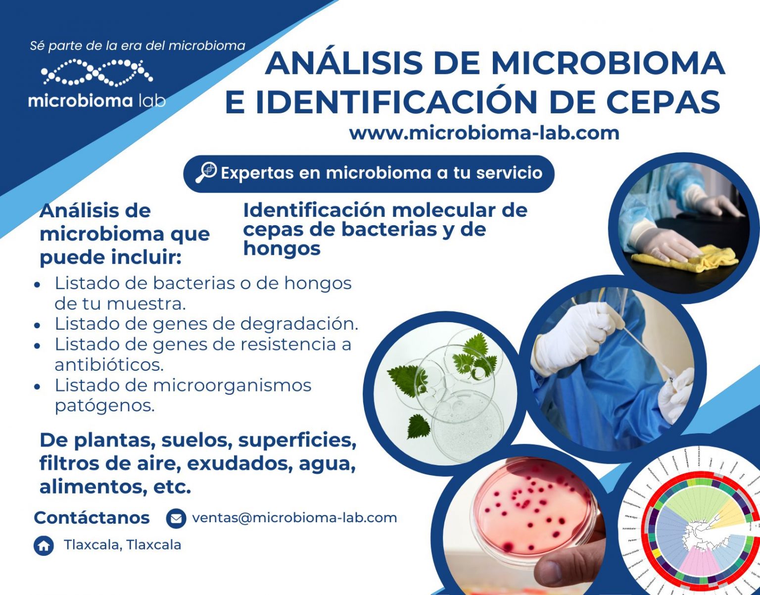 ¿Qué técnicas o métodos existen para identificar a las bacterias ...